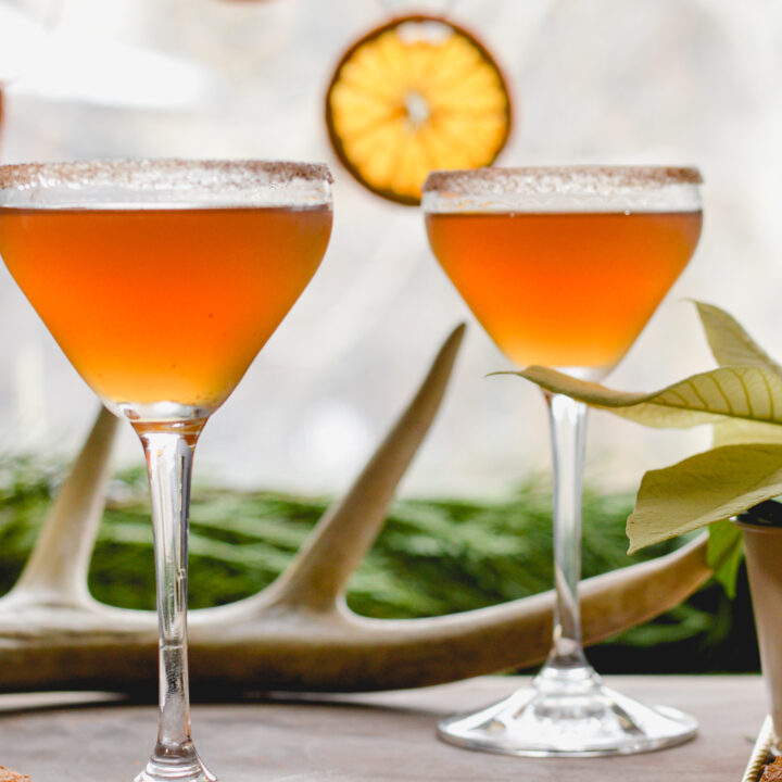 Cranberry Moscow Mule - The Gourmet Bon Vivant