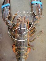 The Ultimate Guide to Preparing and Cooking Live Lobster